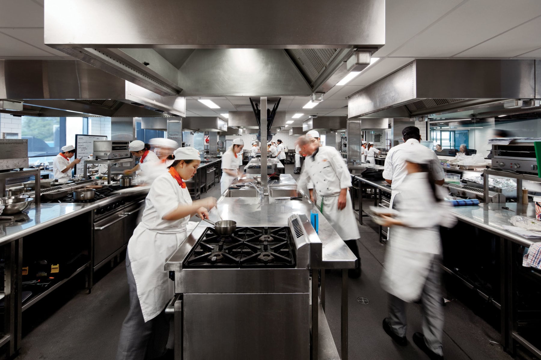 William Angliss Institute Sydney Campus | Gray Puksand Architecture ...