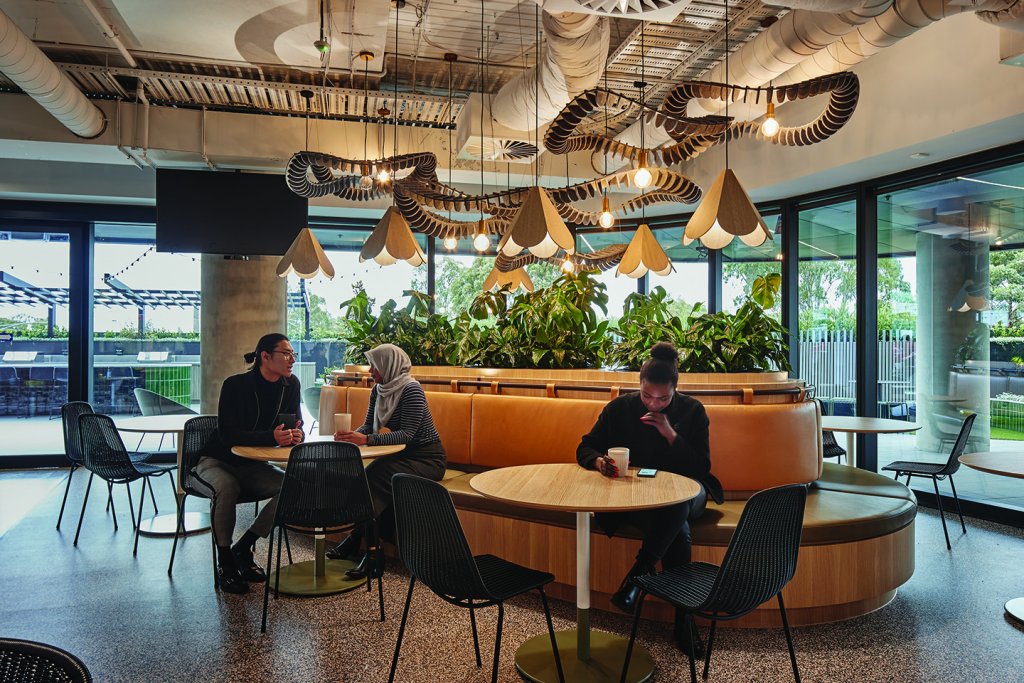 Bridging Nature and Work: A Landlord’s Guide to Green Workplace Design