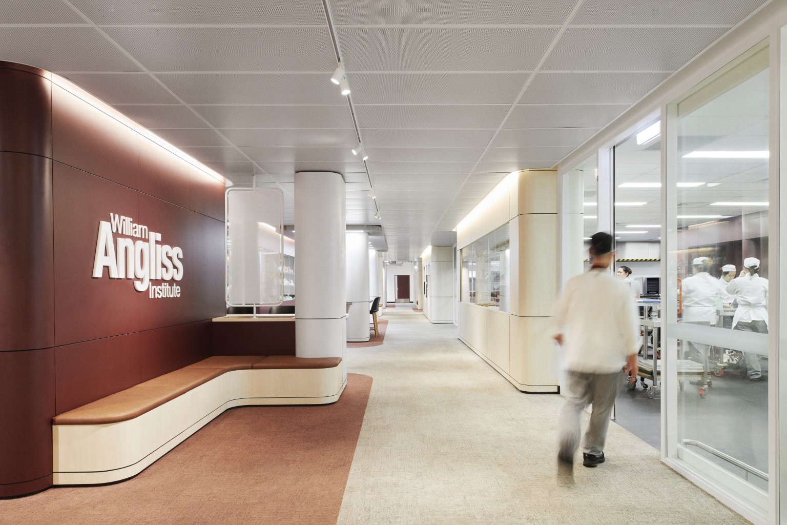 William Angliss Institute Sydney Campus | Gray Puksand Architecture ...