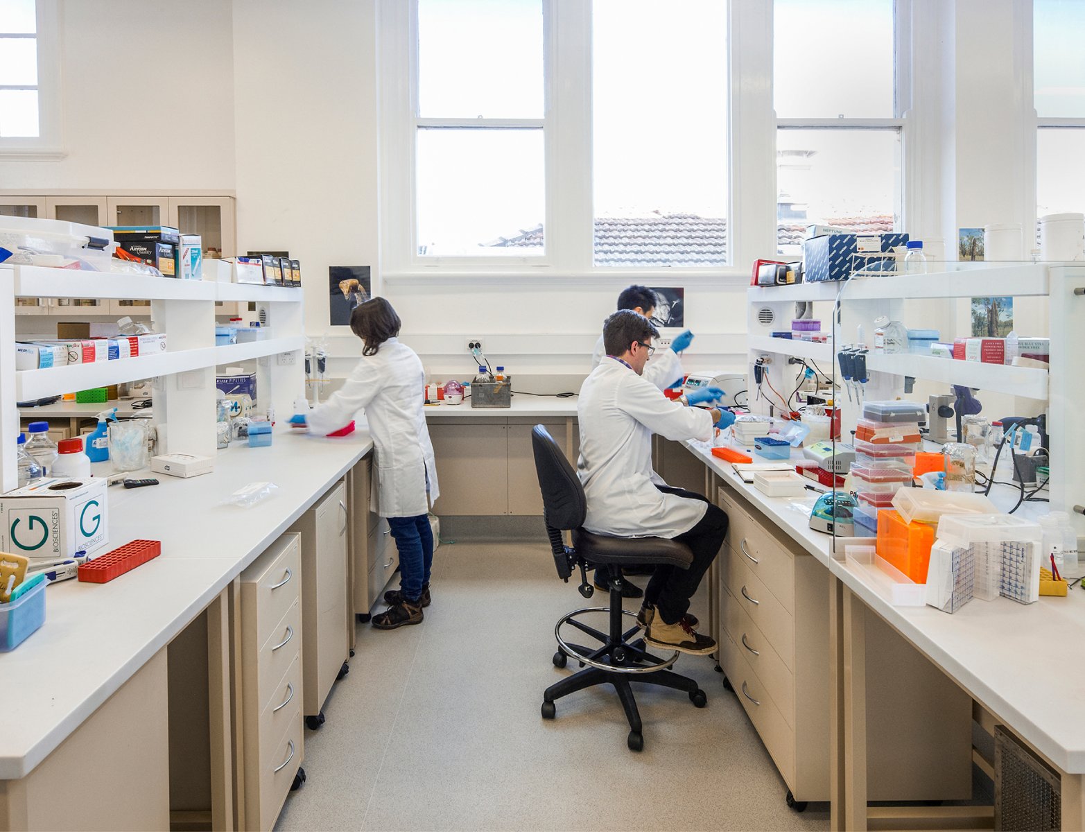 University of Sydney Biological Sciences Laboratory | Gray Puksand ...